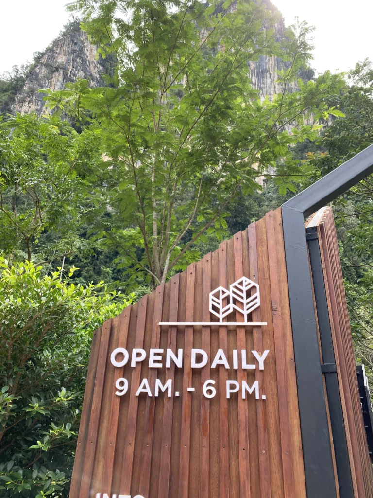 Into the forest cafe คาเฟ่ดังจังหวัดกระบี่
