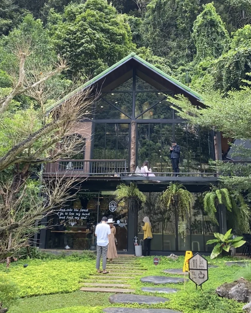 Into the forest cafe คาเฟ่ดังจังหวัดกระบี่