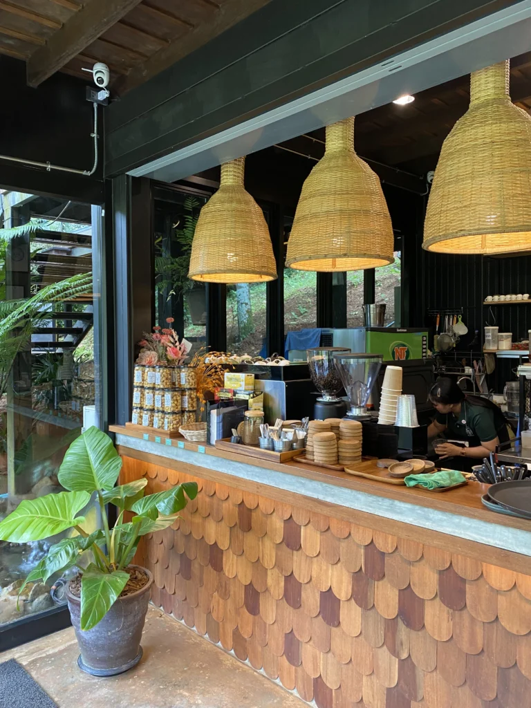 Into the forest cafe คาเฟ่ดังจังหวัดกระบี่